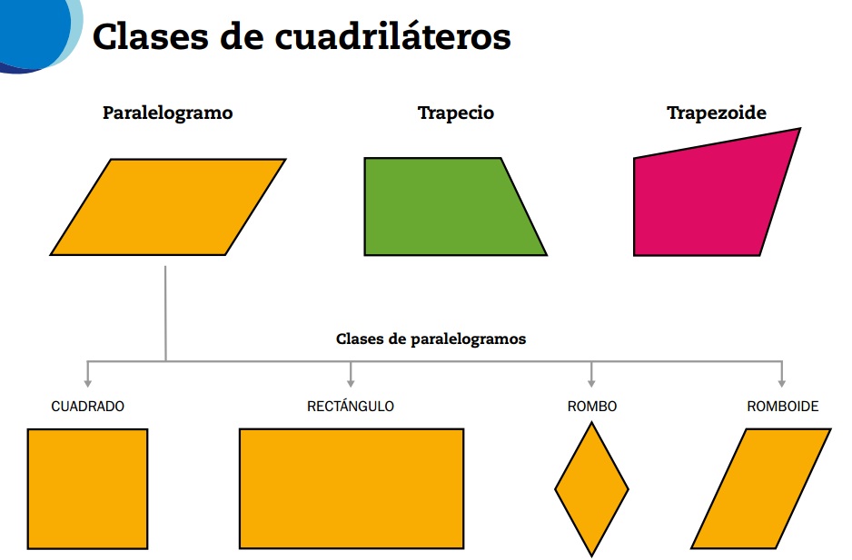 LOS CUADRILÁTEROS