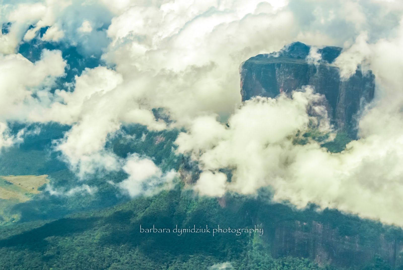 barbara dymidziuk photography: Wenezuela / Venezuela