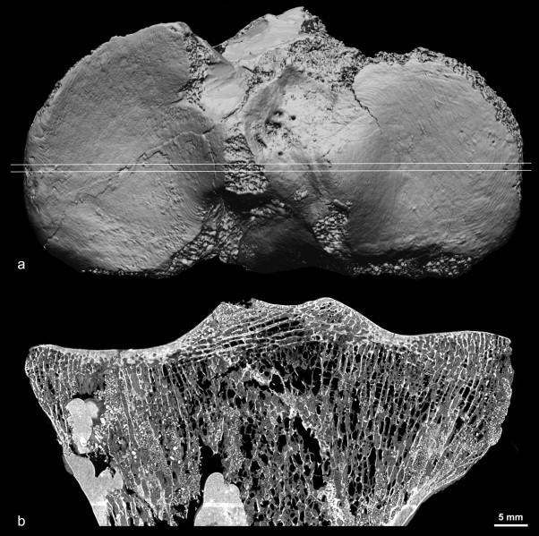 The Subversive Archaeologist: The Iceman Cameth and Wenteth Away ...