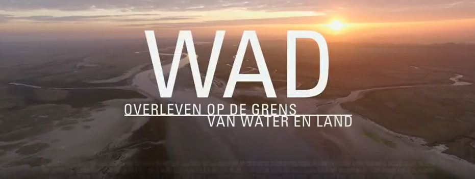 Binnenkant : Wad