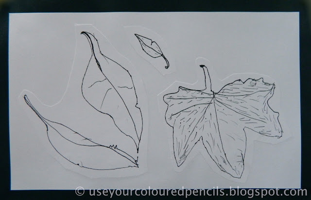 Use Your Coloured Pencils: Leaf Drawings