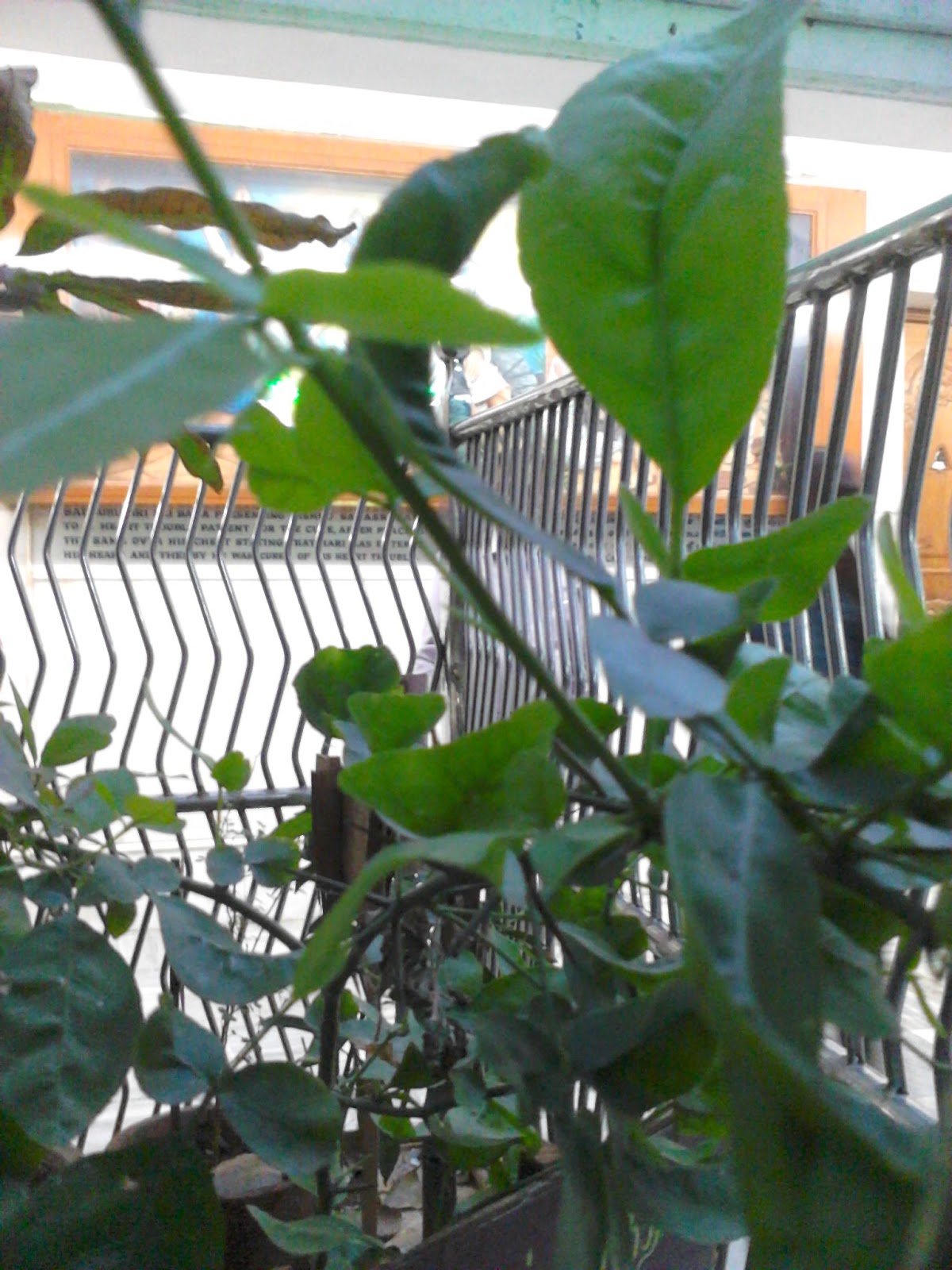 A Blog of Scenic Nature - Beautiful Creations of God : Stupendous ...