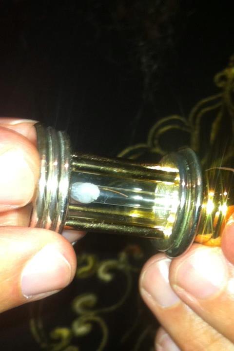 Bertabaruk Dengan Rambut Rasulullah | Mistikus Cinta