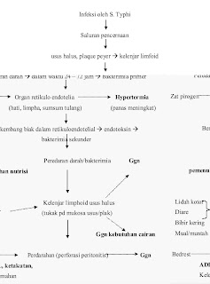 Askep Thypoid Pada Anak - Frenshilgo