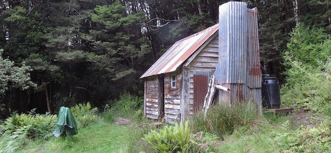 Tramping in the New Zealand backcountry: NZ Bush Adventures: Whats in a ...