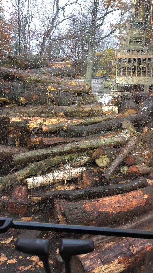 Berkshire Firewood Logs, - Great Prices for Logs in Berkshire, Free ...