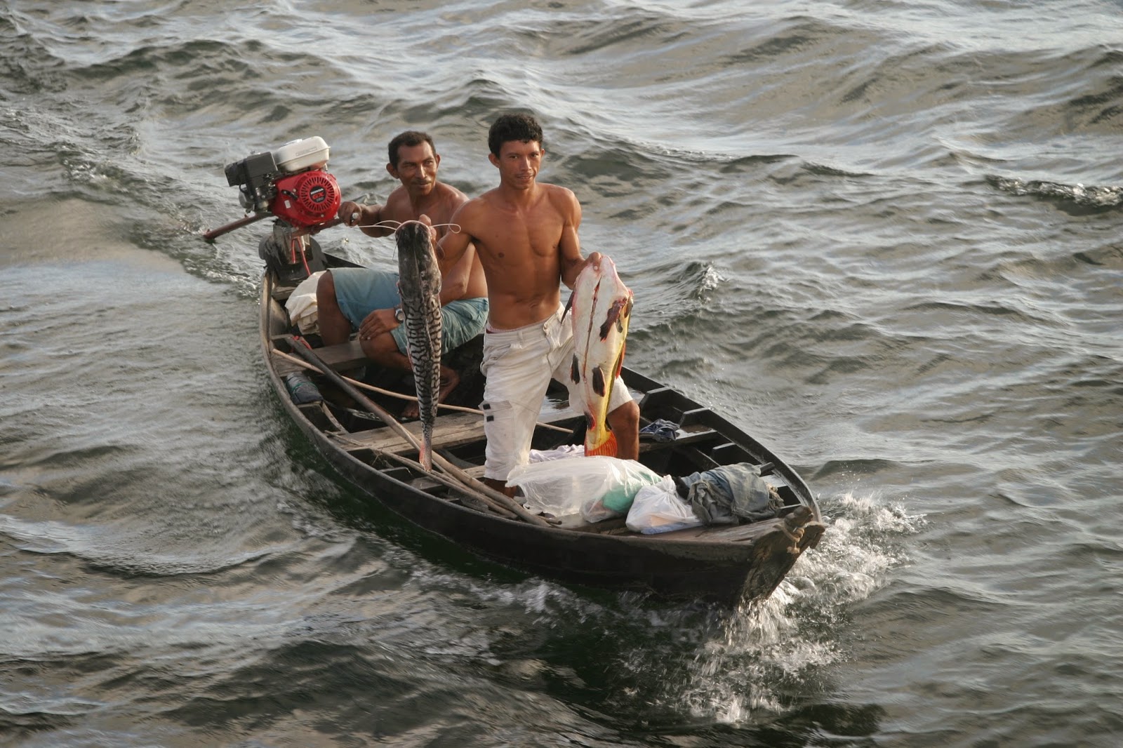 sodrepara24 horas: Meu olhar sobre a Amazônia