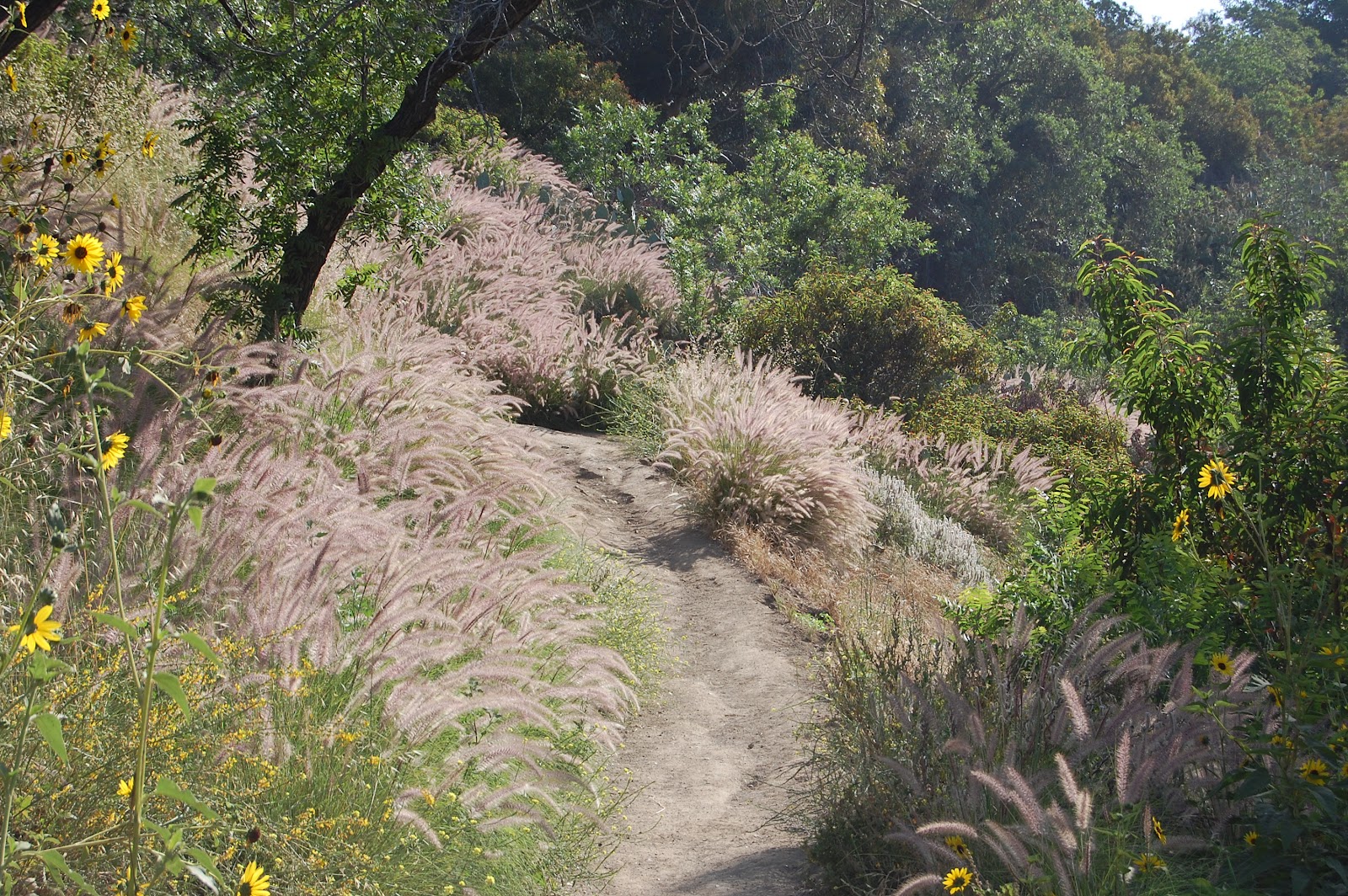Hiking Azusa Peak/Glendale Peak | East West Hike