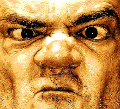 Funny Angry Face Pictures | Funny Collection World