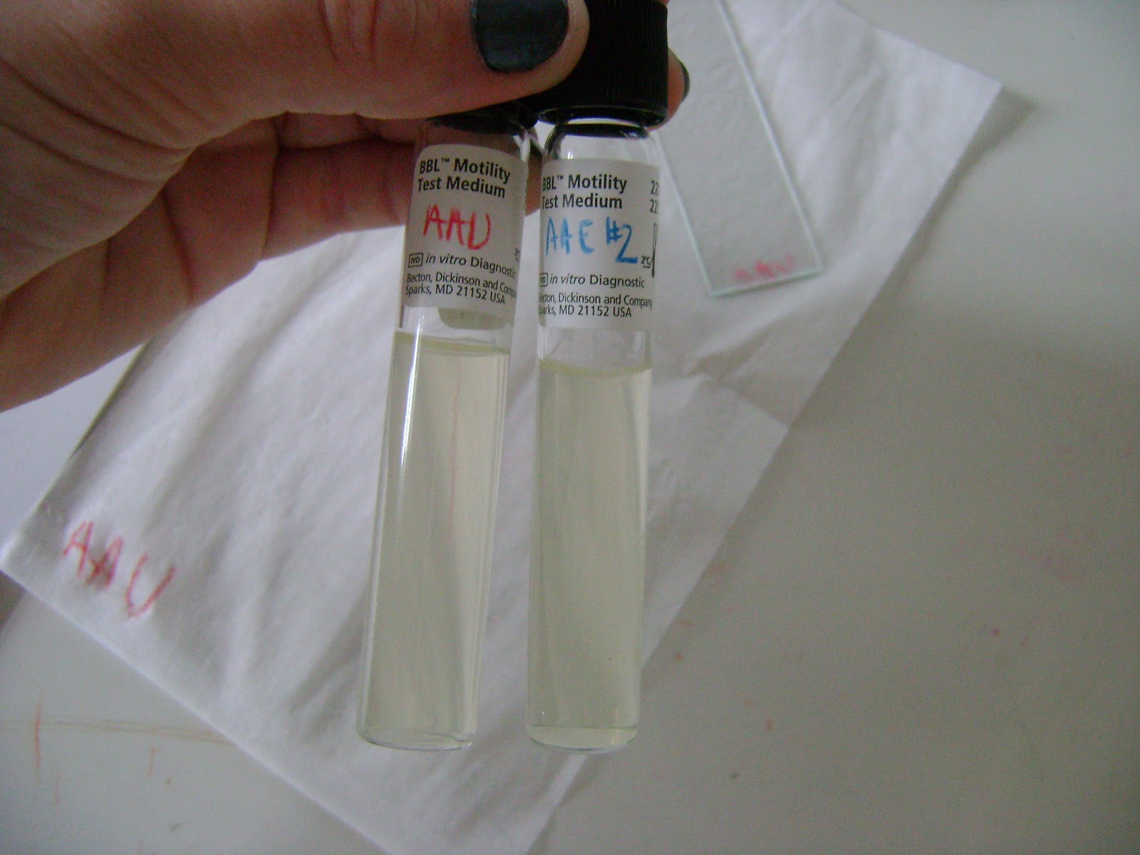 MedicALI Microbiology: Inoculating Broth Tubes and Streak Plates