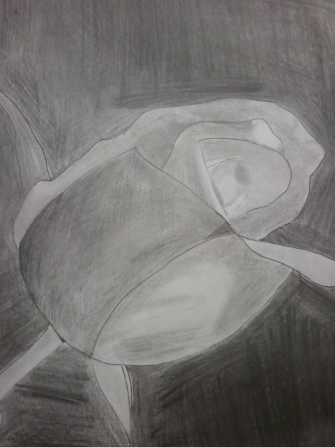 Visual Arts: Advanced Art pencil drawings