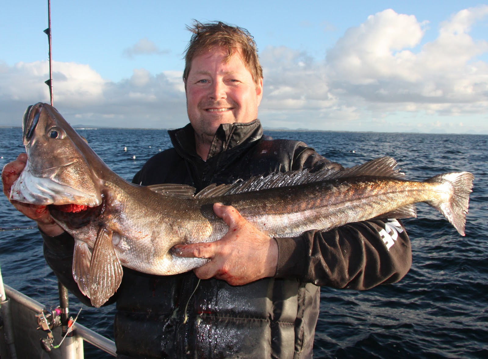 Team Isola: Kummel!!