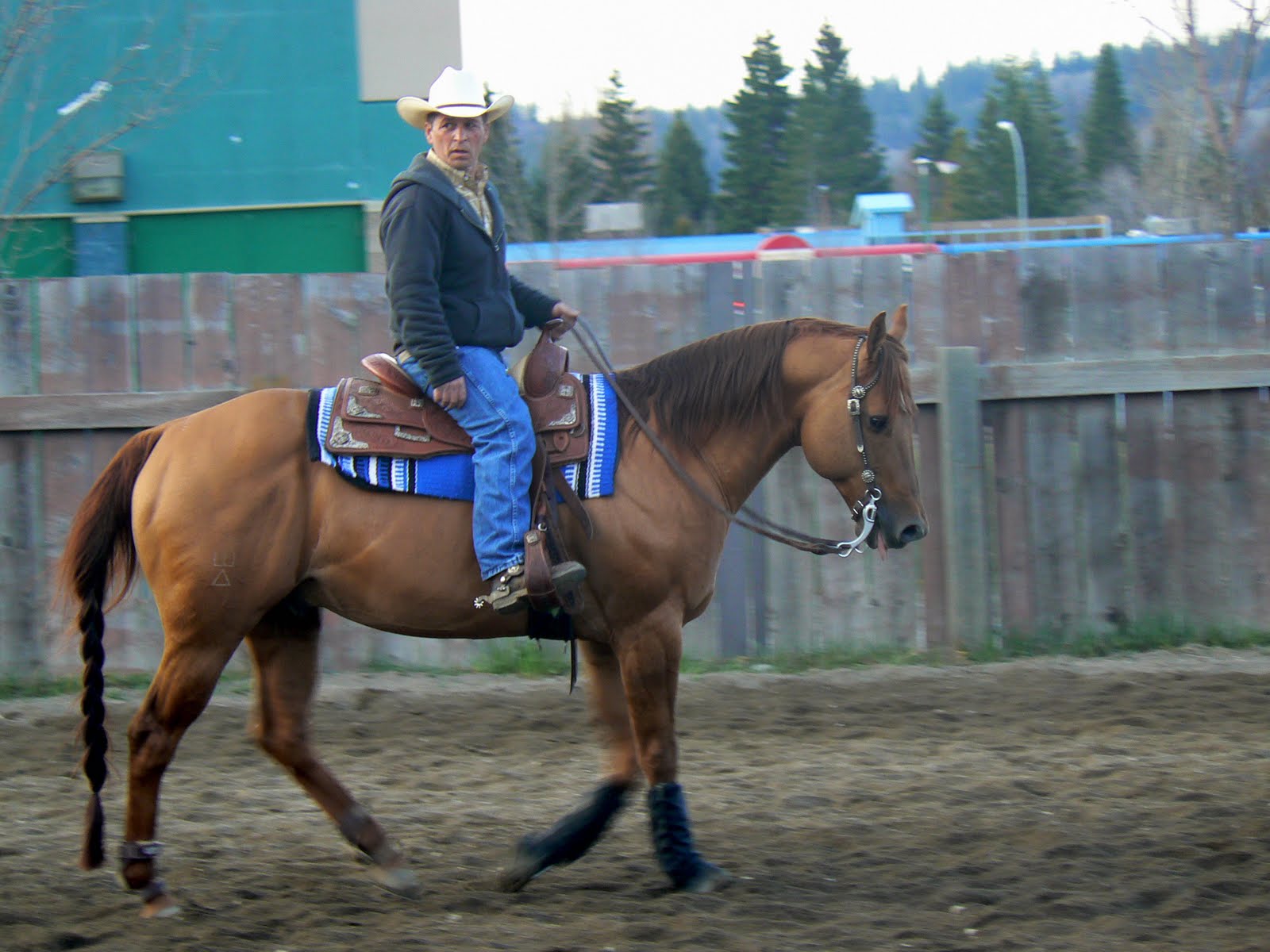 100 Mile Sliders Reining Club: Some Prince George Spring Slide candids