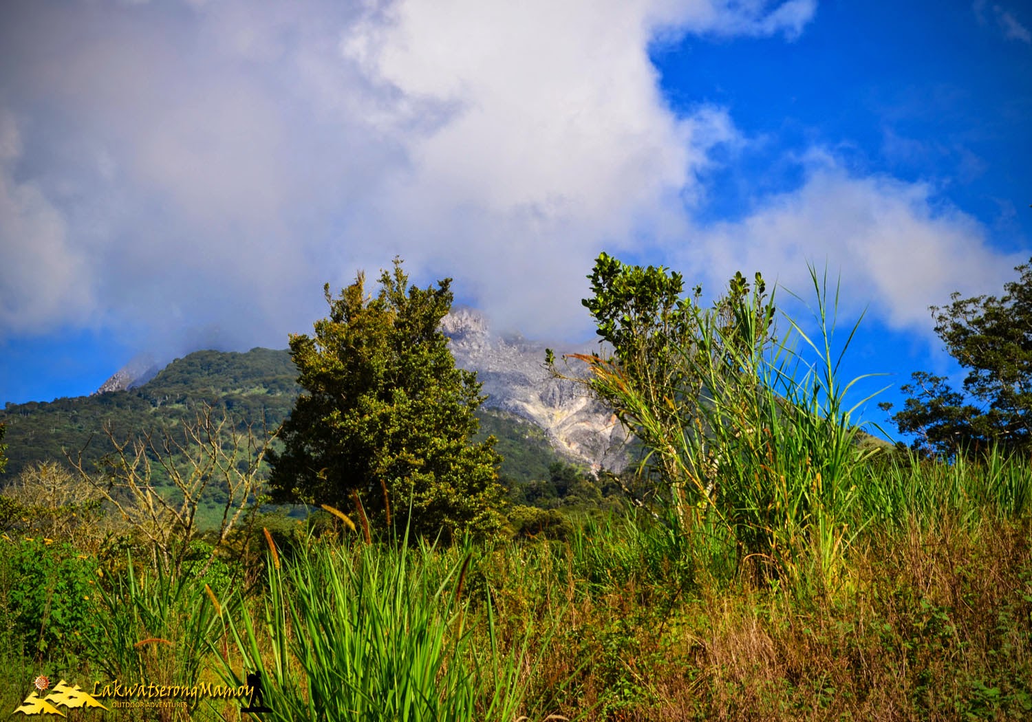 Mt. Apo Summer Climb a Dream Come True ~ Lakwatserong Mamoy