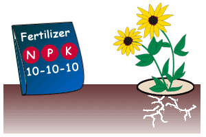 From PUA to eternity