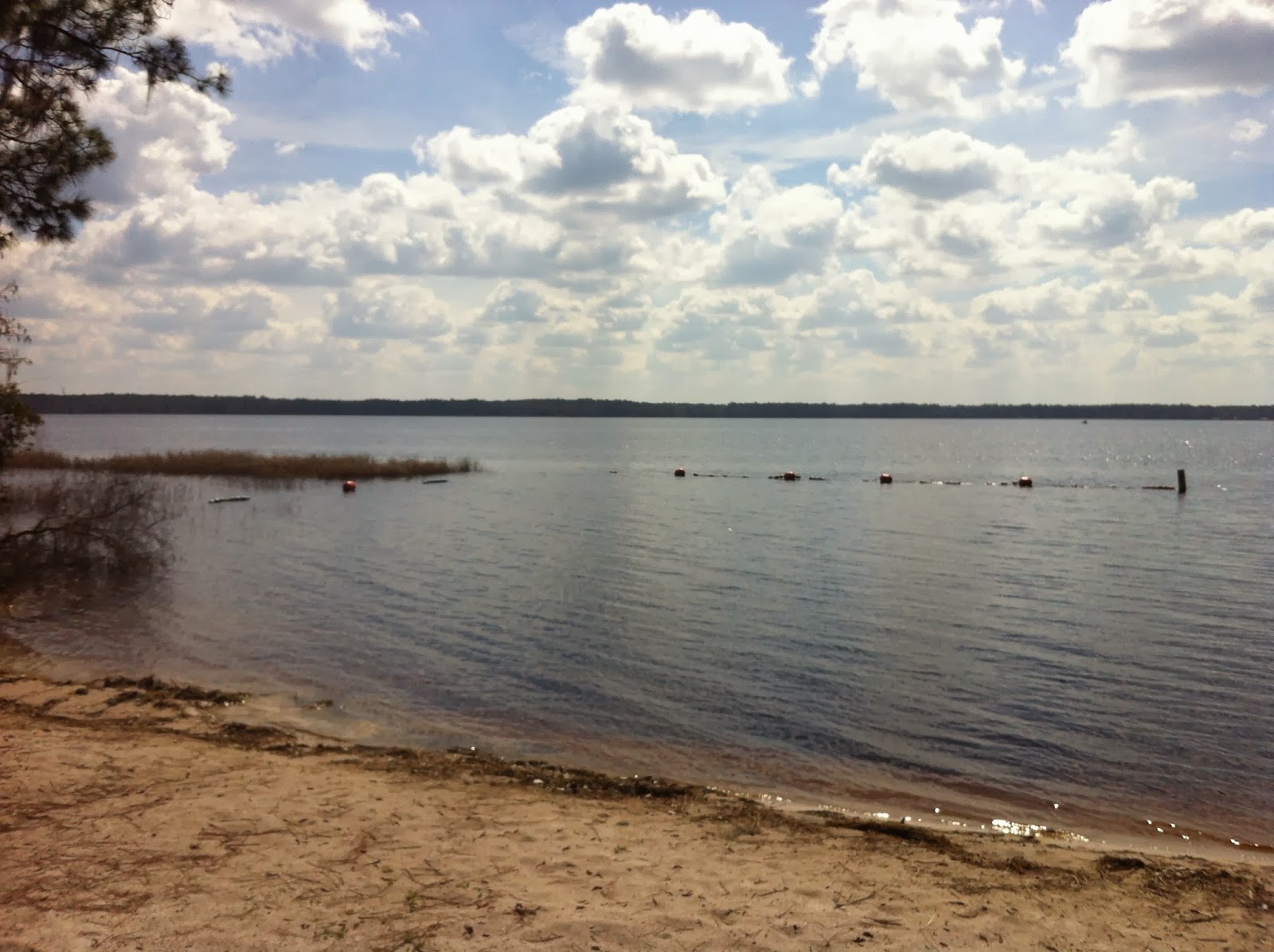 Our Fantastic Falcon Voyage: Ocean Pond Campground, Osceola National ...