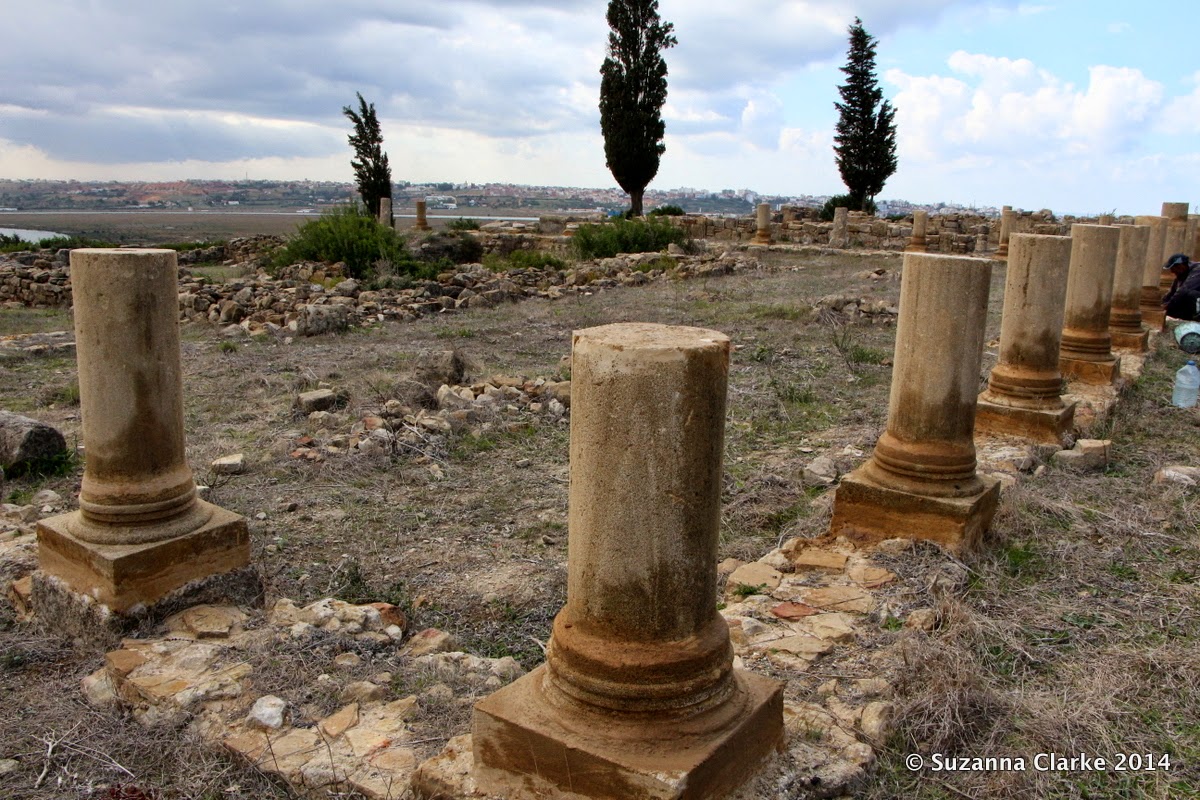 THE VIEW FROM FEZ: Roman Cities in Morocco: Lixus