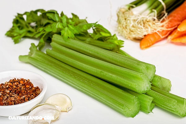 HoyVerde.com: 10 Beneficios del apio o celery