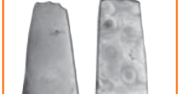 Zaman Neolitikum (Peninggalan, Kebudayaan, Kapak Persegi dan Lonjong ...