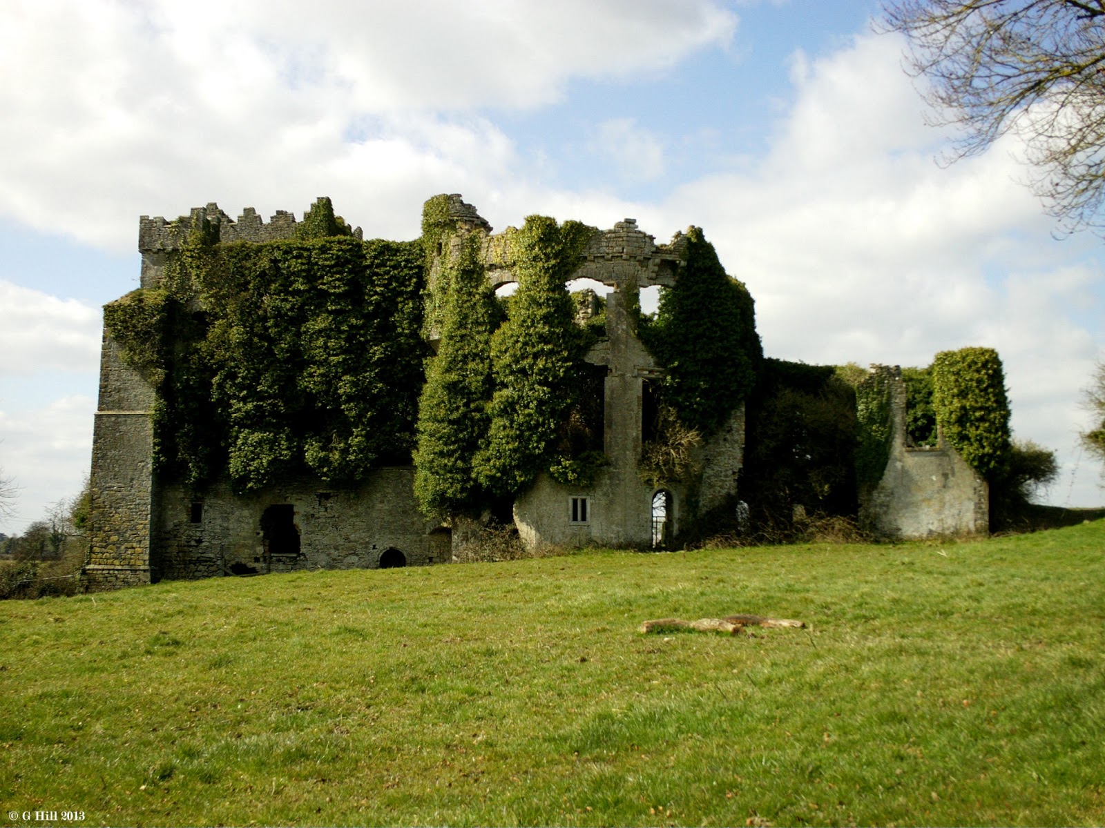 Ireland In Ruins: Tremblestown Castle Co Meath