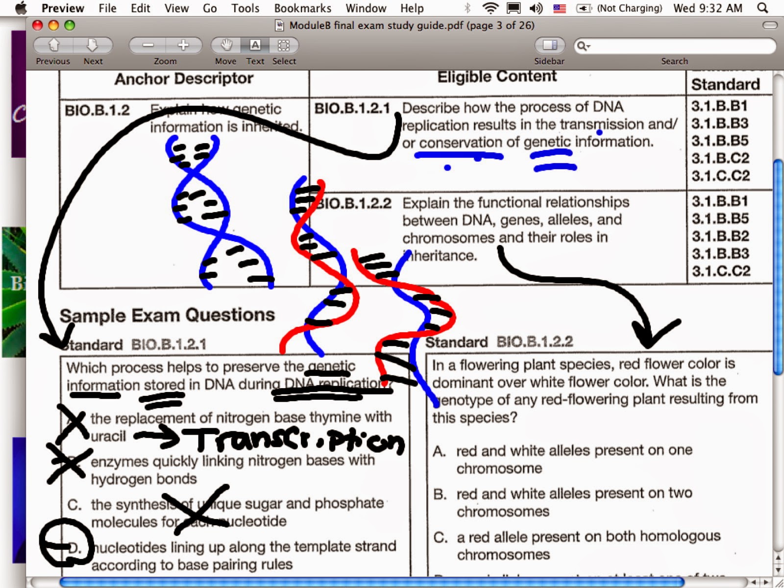 EC Honors Biology: KEYSTONE EXAM MODULE B/ FINAL EXAM REVIEW DAY 1