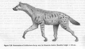 Escenarios prehistóricos: Ictitherium