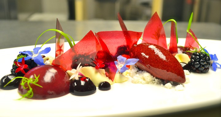 GELIFICACIÒN: PRESENTACIONES DE LA GEL