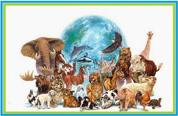 Aprendiendo en un Hogar Biologico: abril 2014