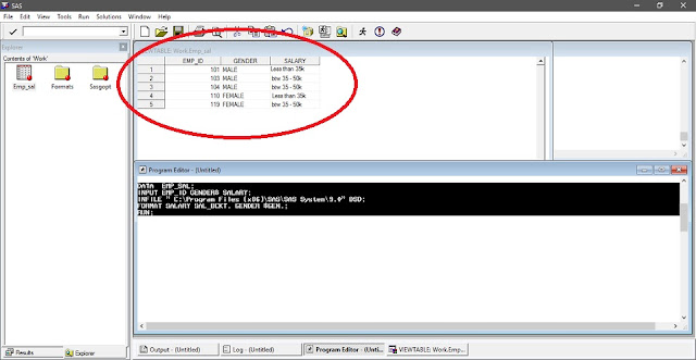 Statistical Analysis & Different Techniques: Formats & Informats in SAS