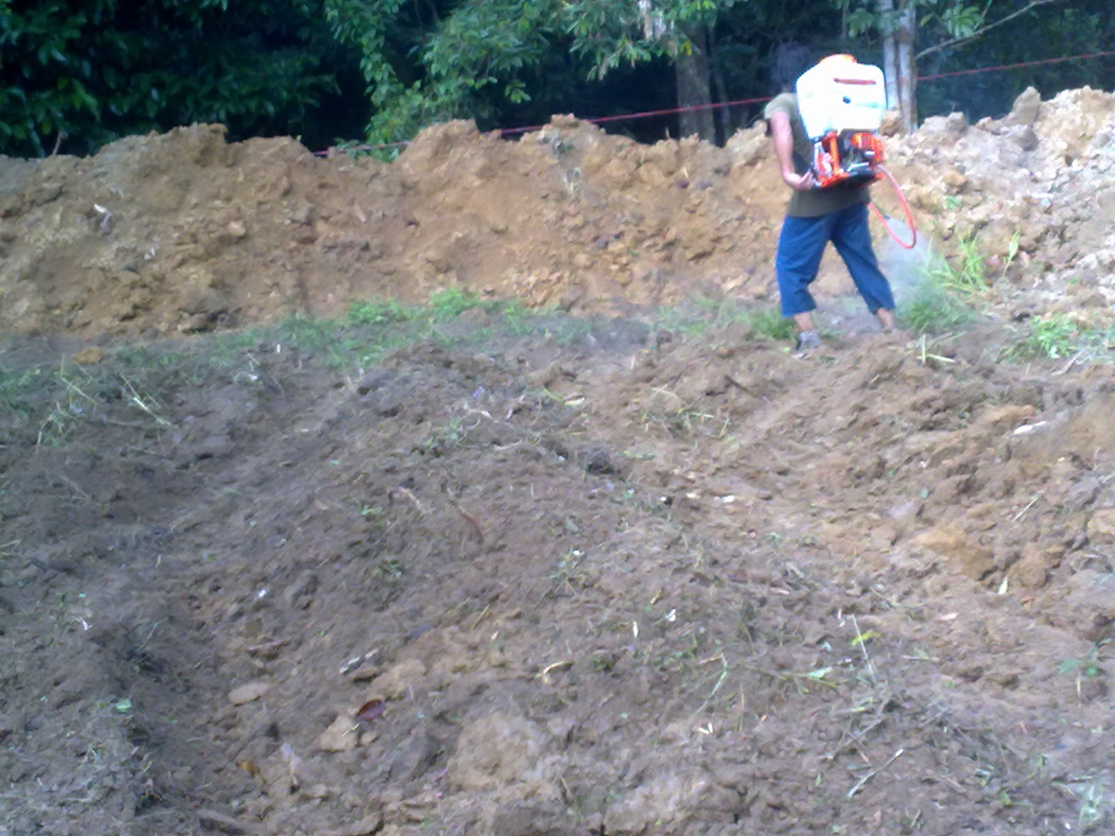 Pembekal Tebu : Meracun tanah