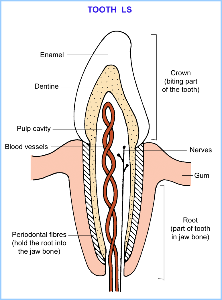 Magh Ag Sci: December 2014