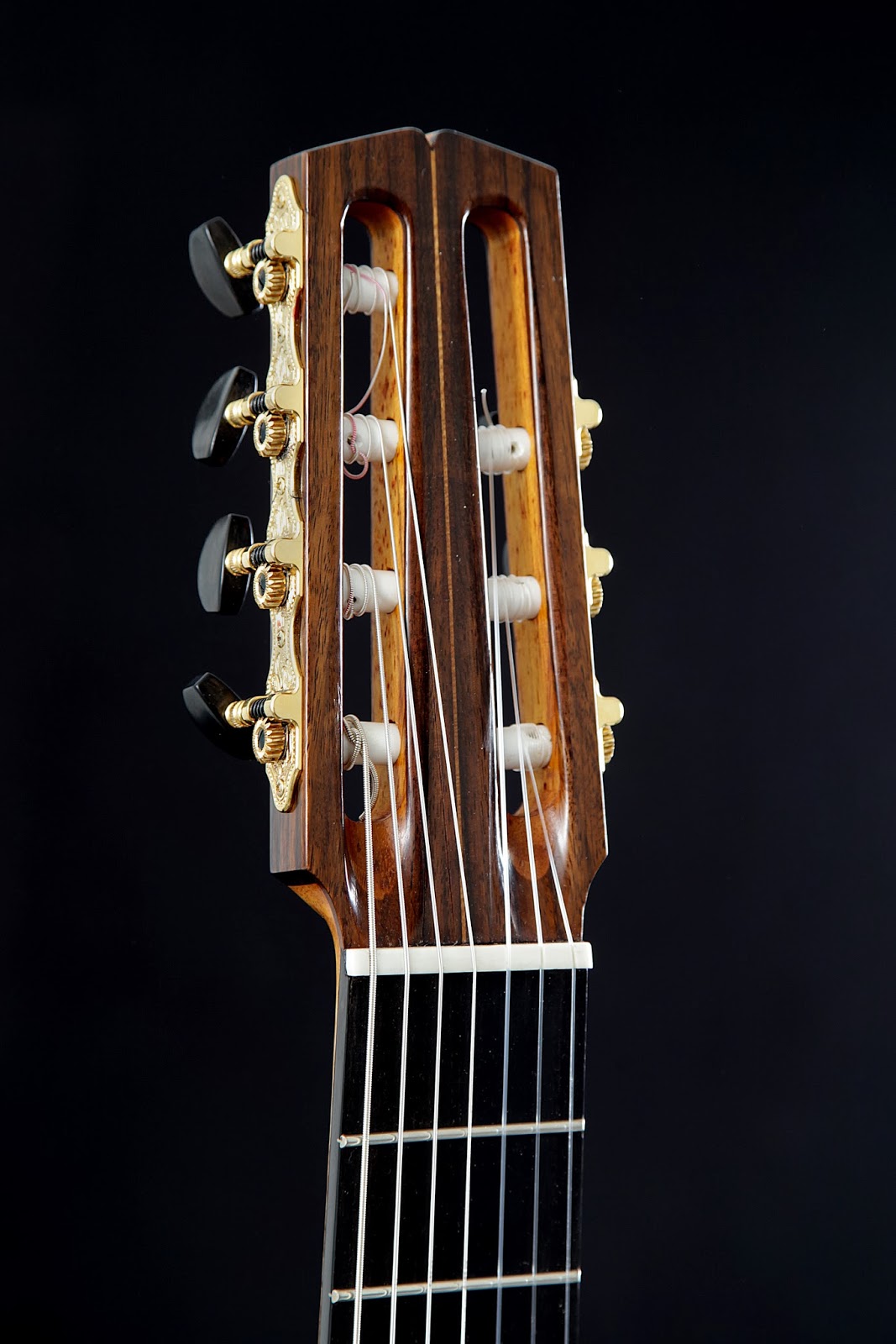 Liutai a Torino: Chitarra Classica a sette corde, Plantilla Ignacio ...