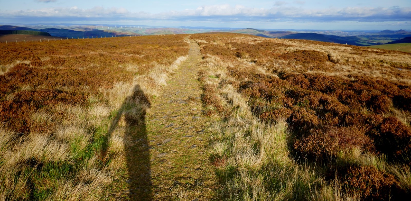 best part of the day: Tweed Valley Ultra Recce and Oct TB