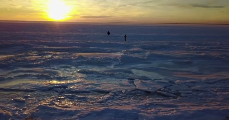 White Wolf : Incredible Footage Shows The Ocean Frozen Over On ...