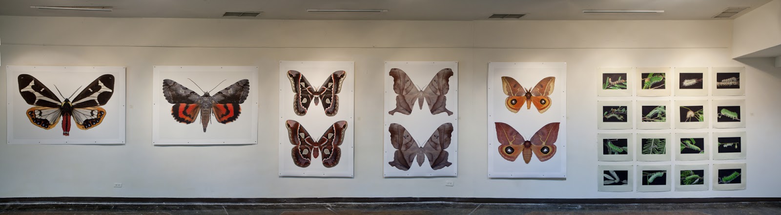 Joseph Scheer: Exhibitions