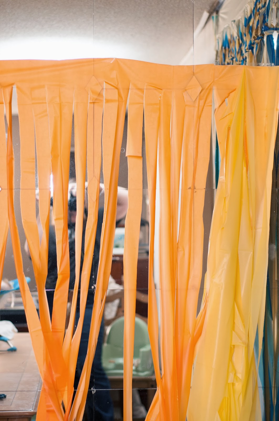 Tia Stout Photography: DIY photo backdrop for $3