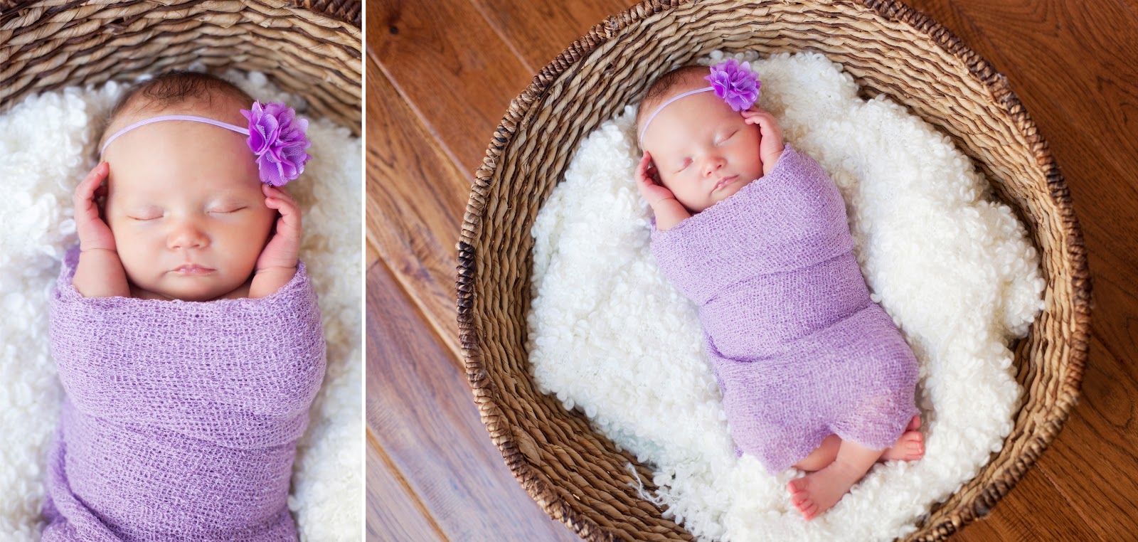 alison donahue photography: Baby Teagan