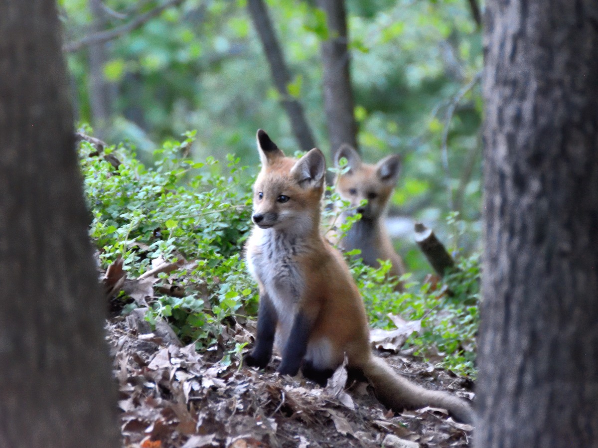 Tom and Margot's Adventures in Photography: Home Leave in Rogers, Arkansas