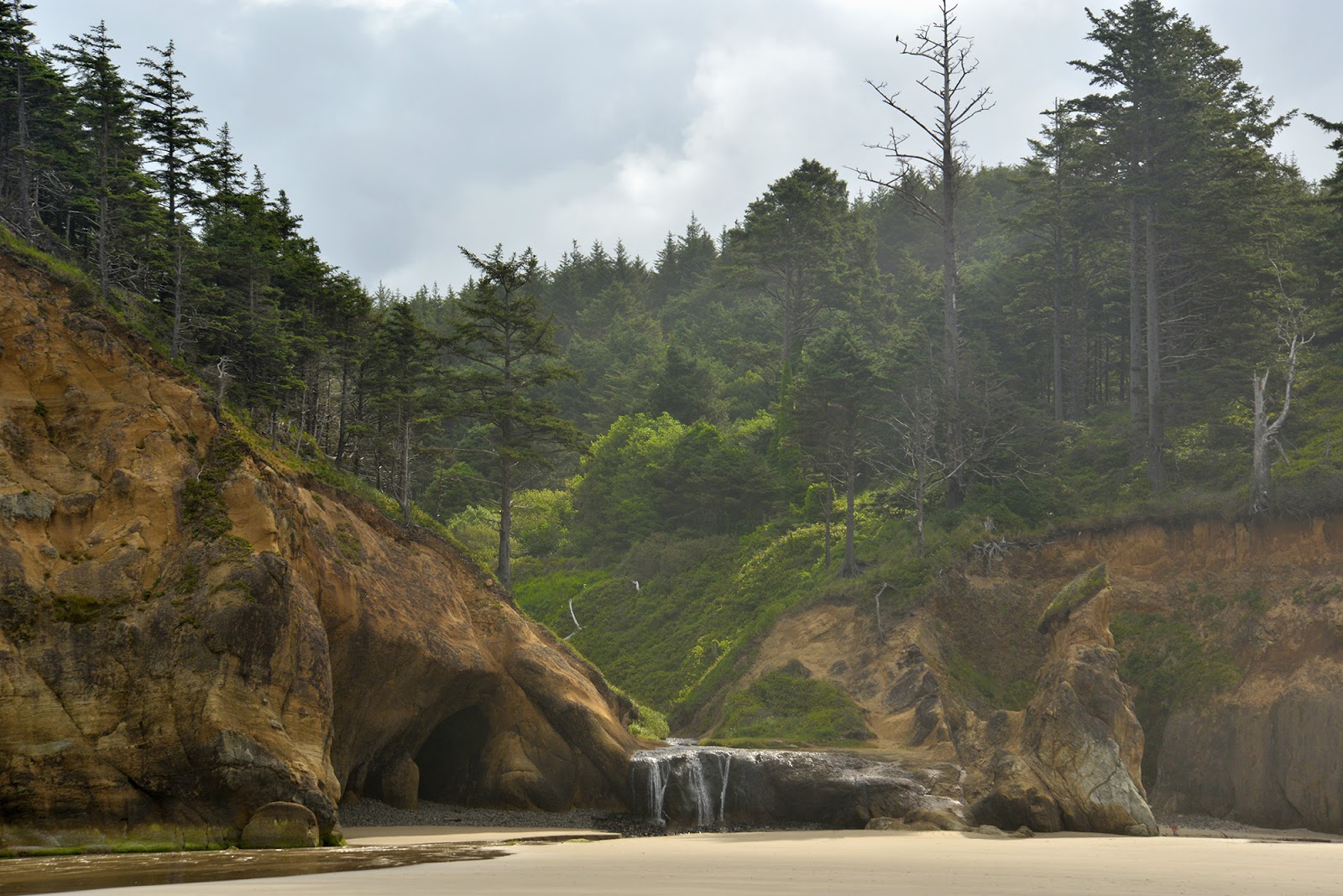 Oregon Coast Tide Pools at Hug Point and Cannon Beach - light-in-leaves