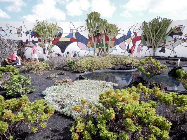 Canary Islands 2013-14: 2. Lanzarote (30 Oct – 20 Nov 2013)