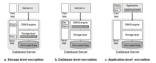 Cyber Learning: Database Encryption.