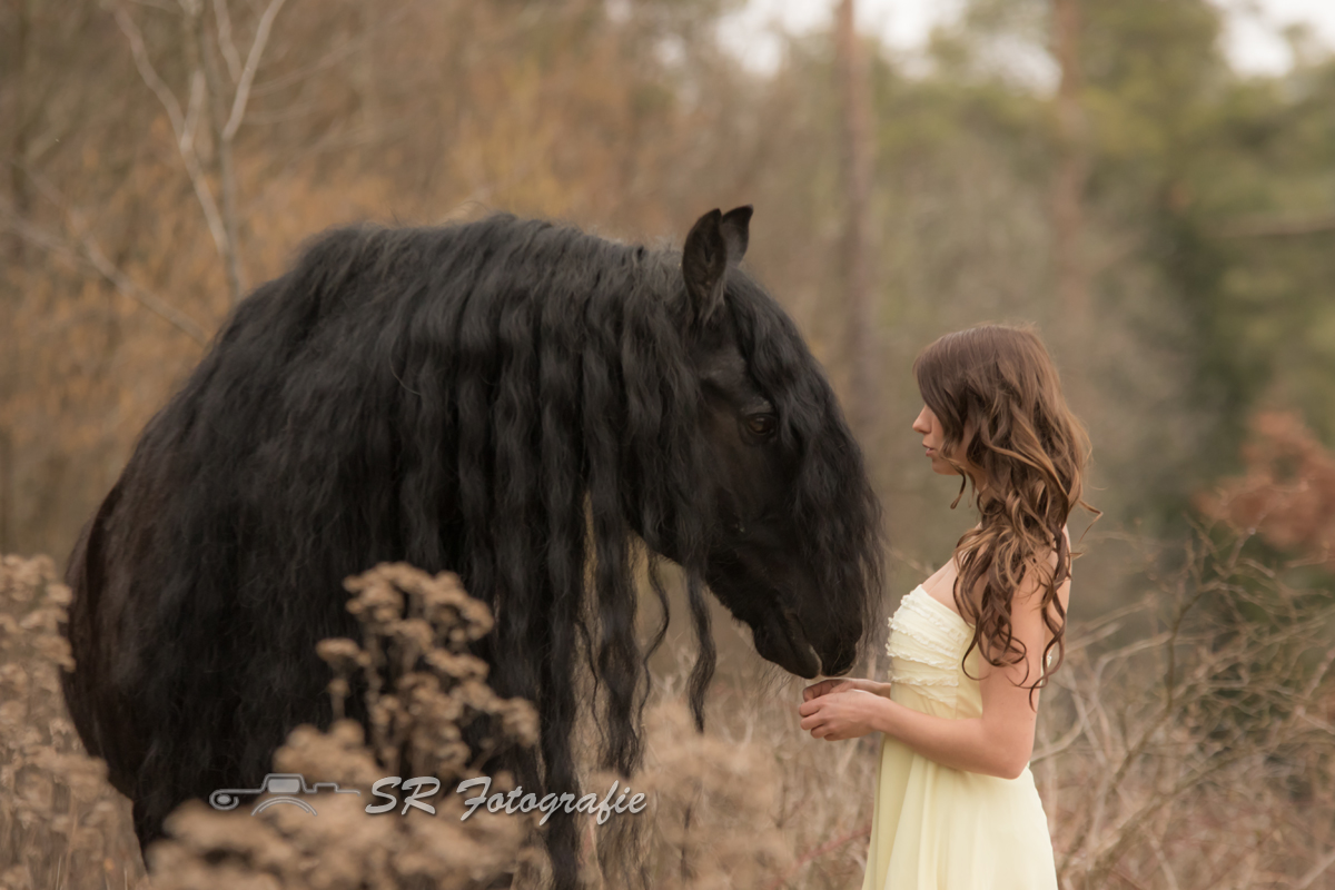 SR Fotografie: Workshop Pferdefotografie von TomsPic am 12.03.2016