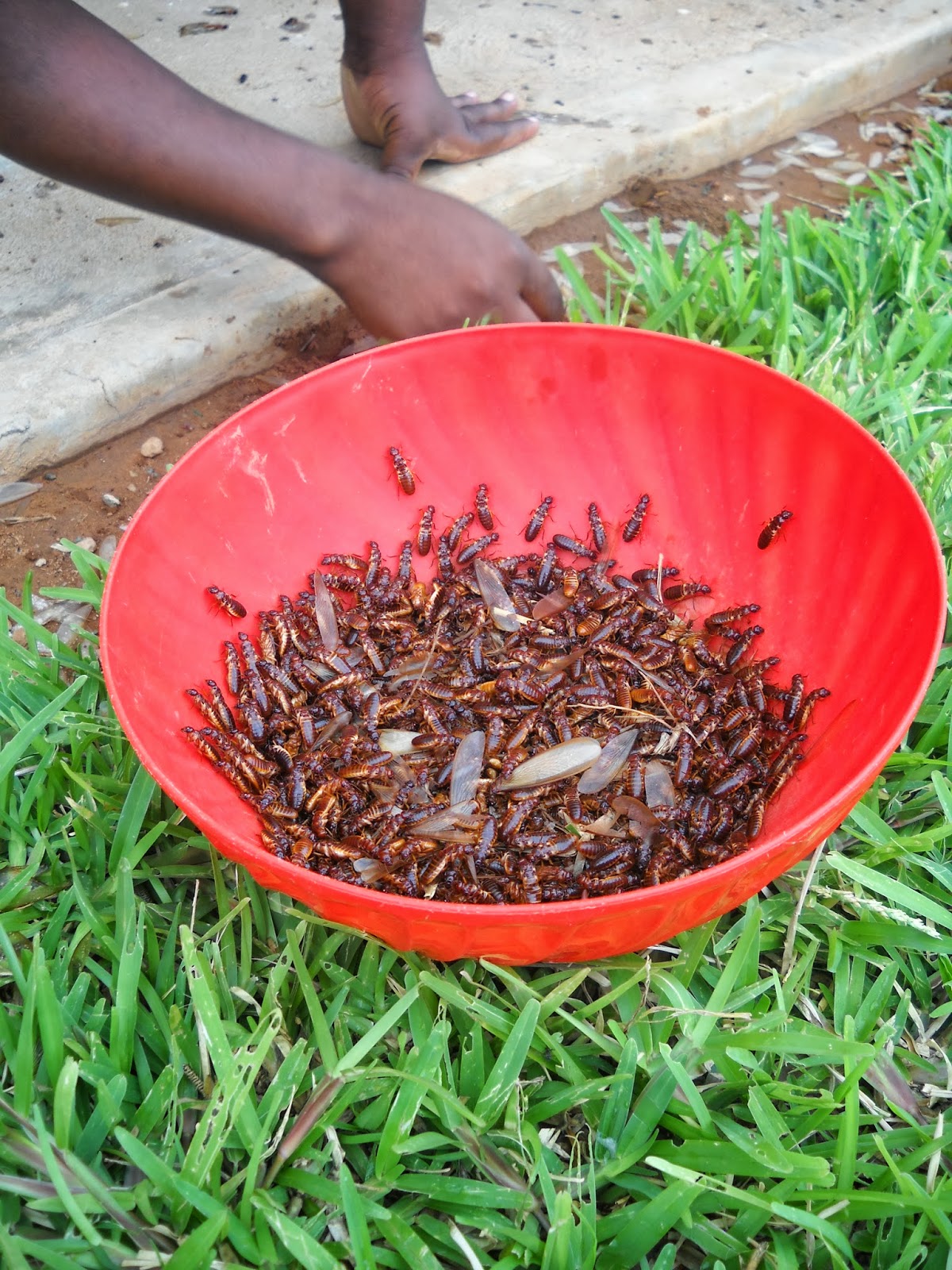 A Joyful Heart in the City of Joy