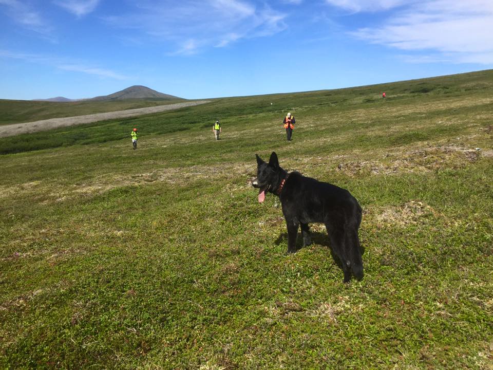 Nome Calls Us Home: Joseph Balderas, Friend and Coworker