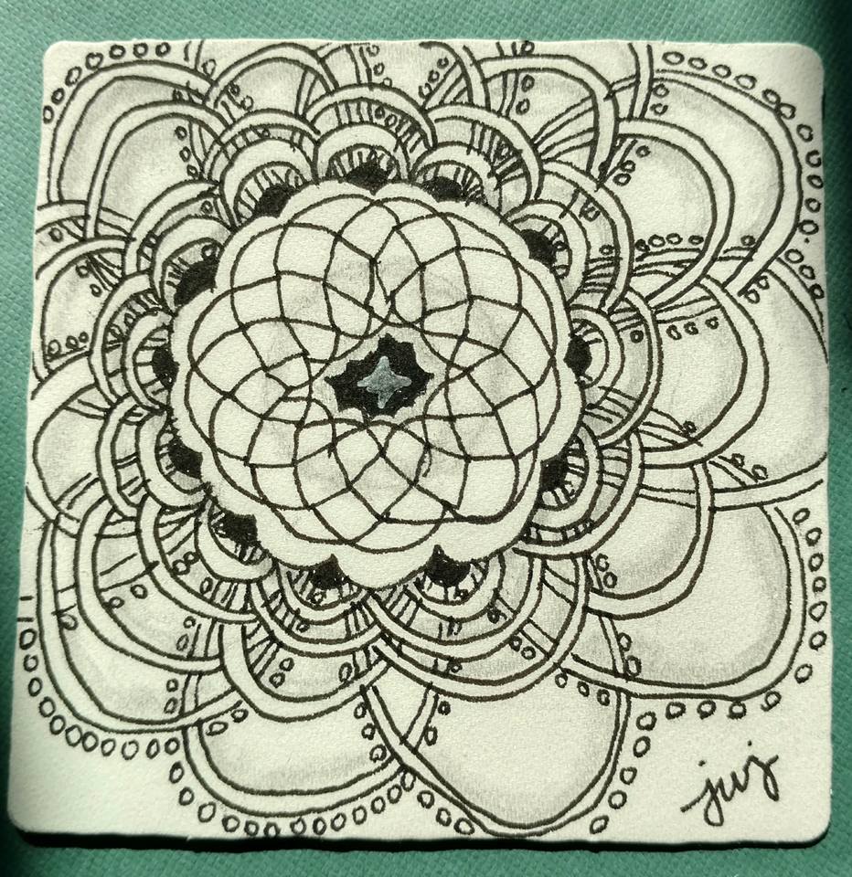 Yankee Tangler: The Evolution of a Tangle