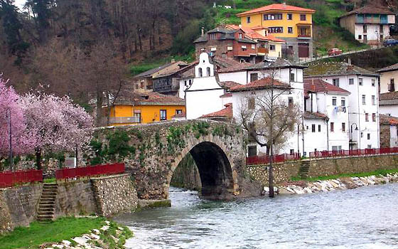 Las vueltas que da la vida: CANGAS de NARCEA