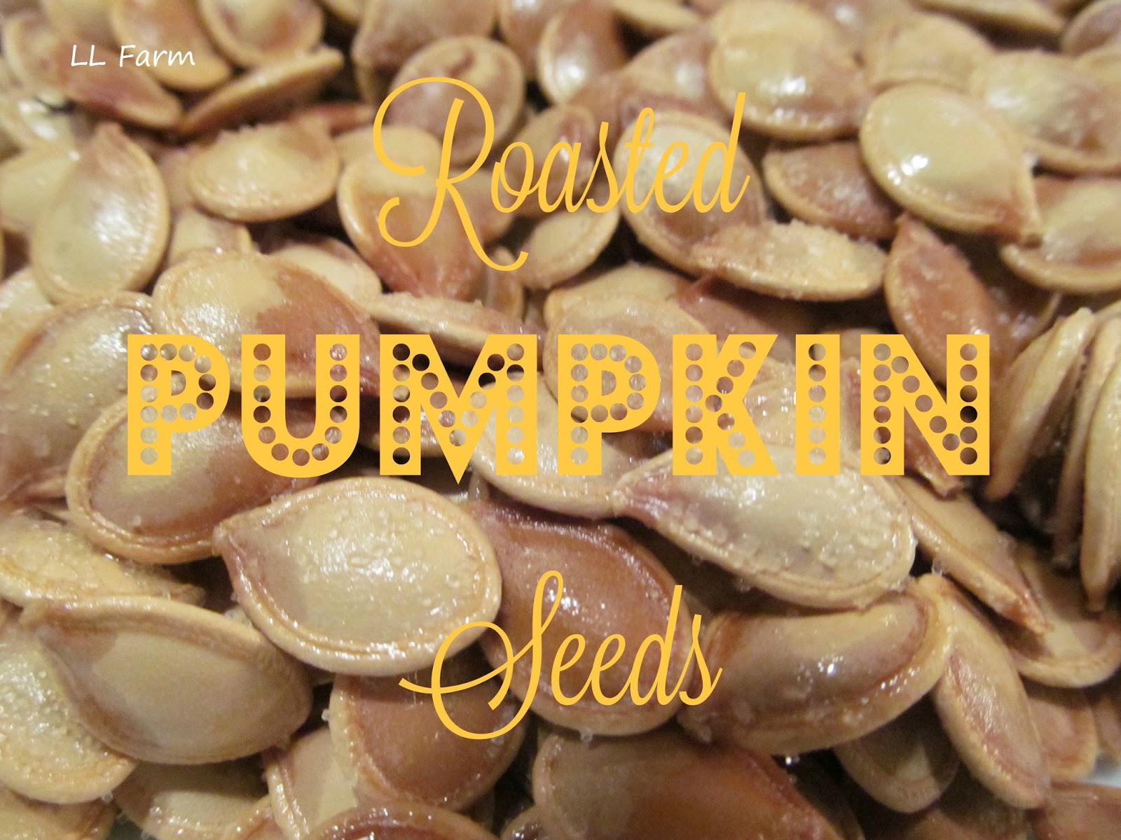LL Farm: How To Make Roasted Pumpkin Seeds