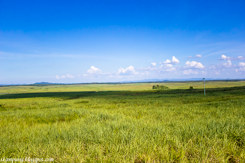 Skampung: Ladang Tebu Chuping - Perlis