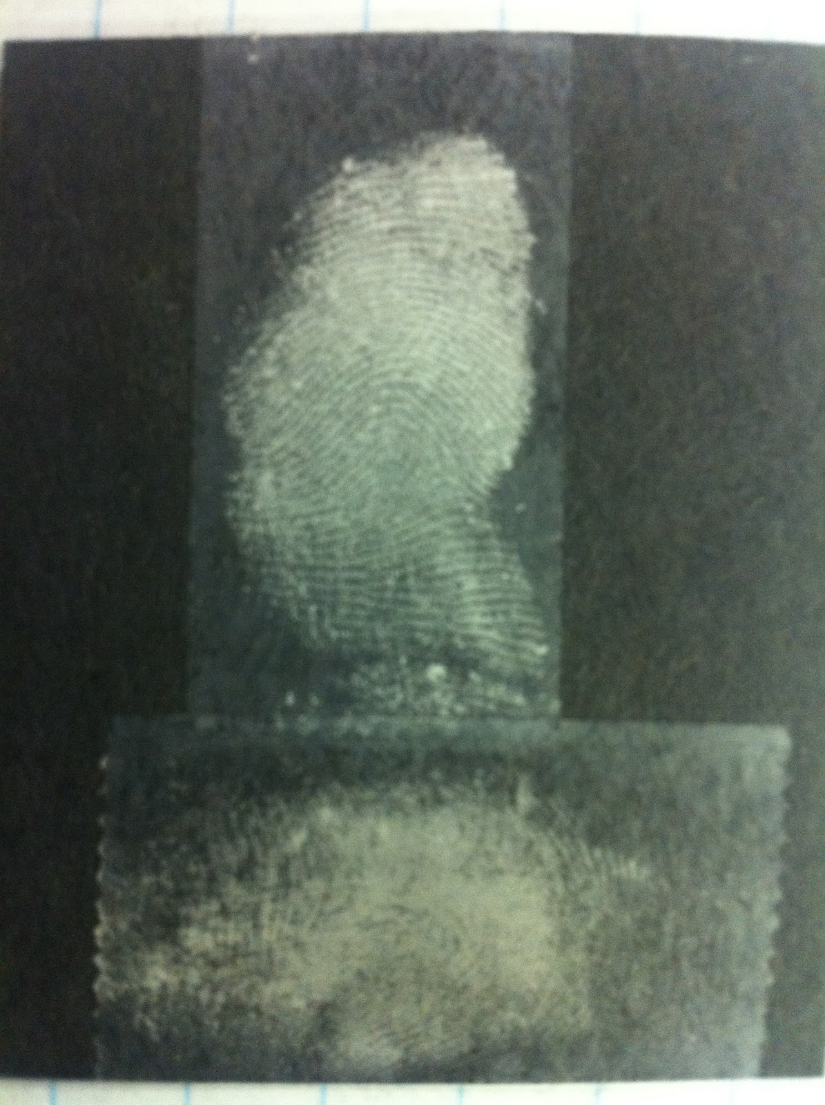Forensics: Forensics Project Part I: Fingerprinting