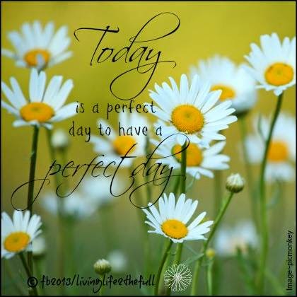 Today is a perfect day to have a perfect day. - Quotes